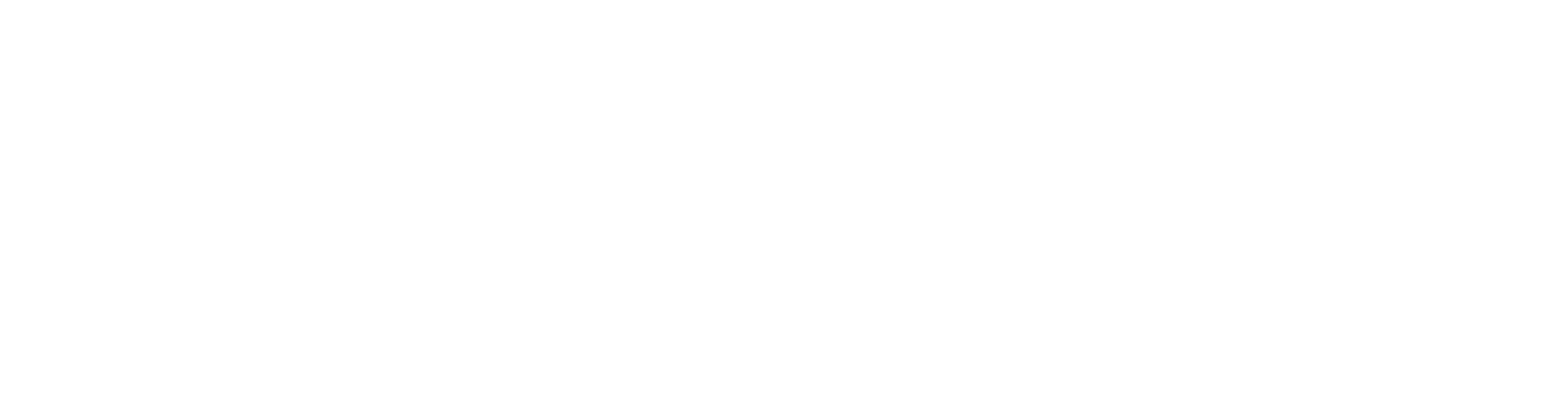 Culinary Journey - Meru Hotels